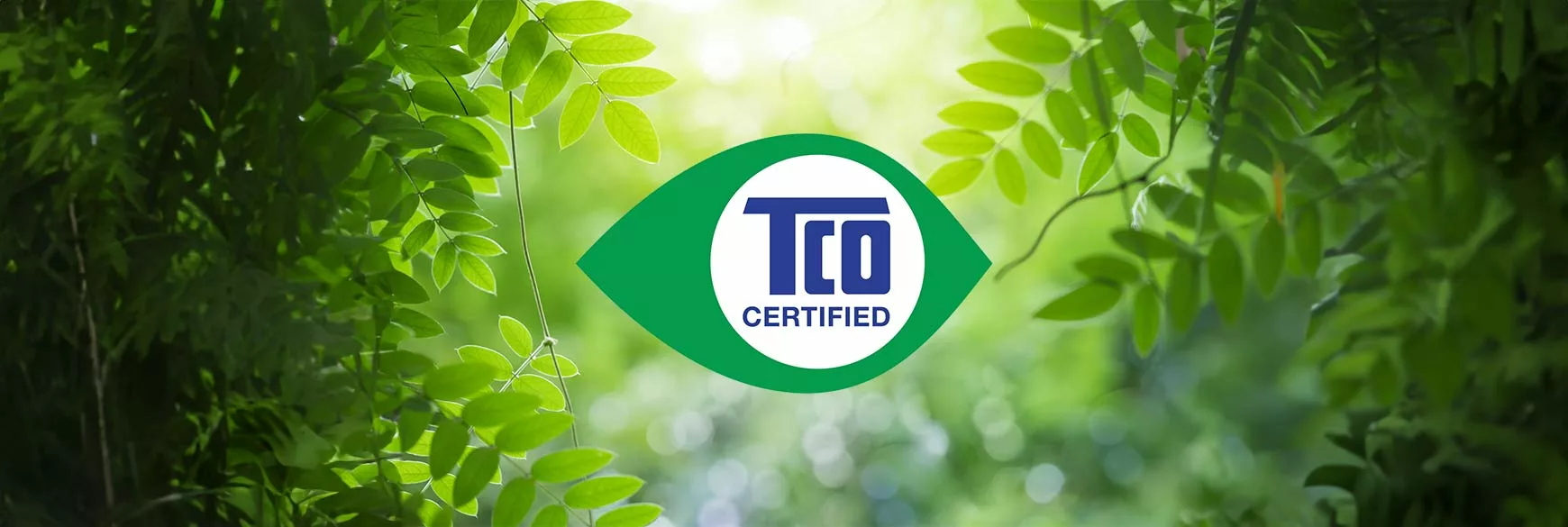 Génération 10 Label TCO | Blog IJO